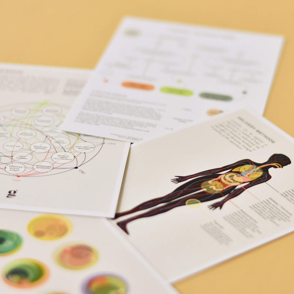 Reference Card Packs: Pocket Infographics | Goldleaf
