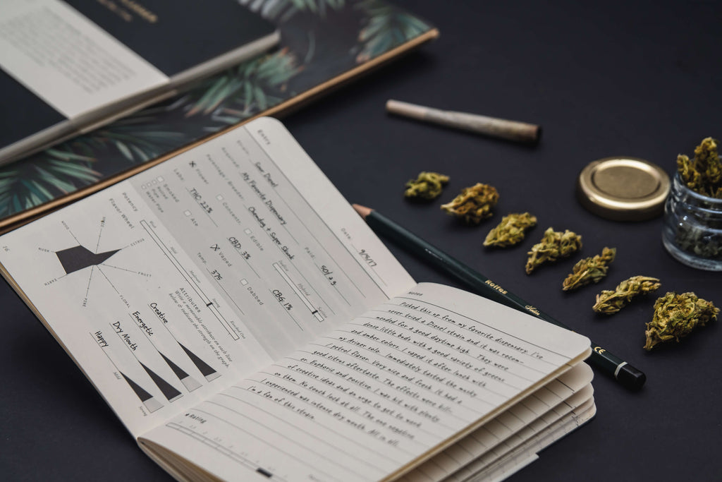 Cannabis Journaling as a Wellness Practice – Goldleaf