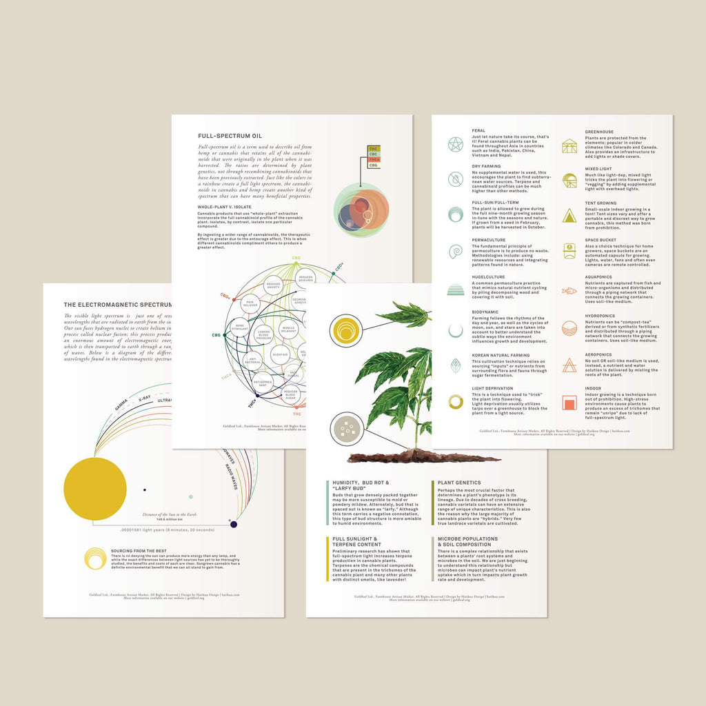 Pocket Infographics: A Few Things About Cannabis Quality | Goldleaf