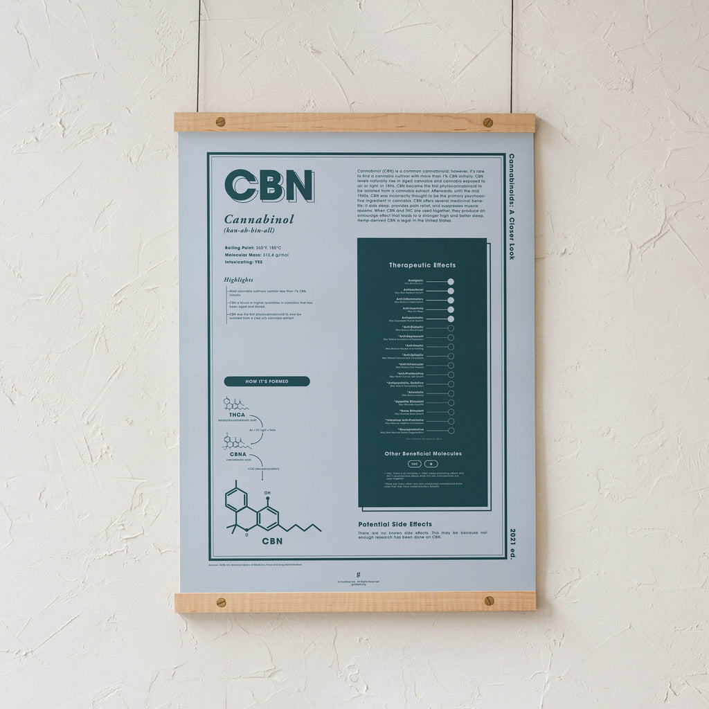 CBN: Cannabinol A Closer Look Print | Goldleaf