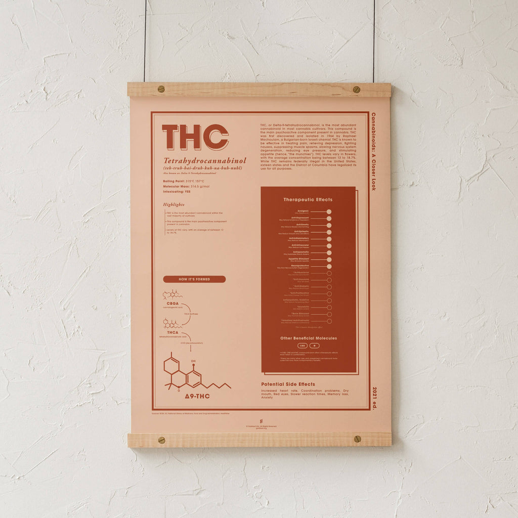 THC: Tetrahydrocannabinol A Closer Look Print | Goldleaf