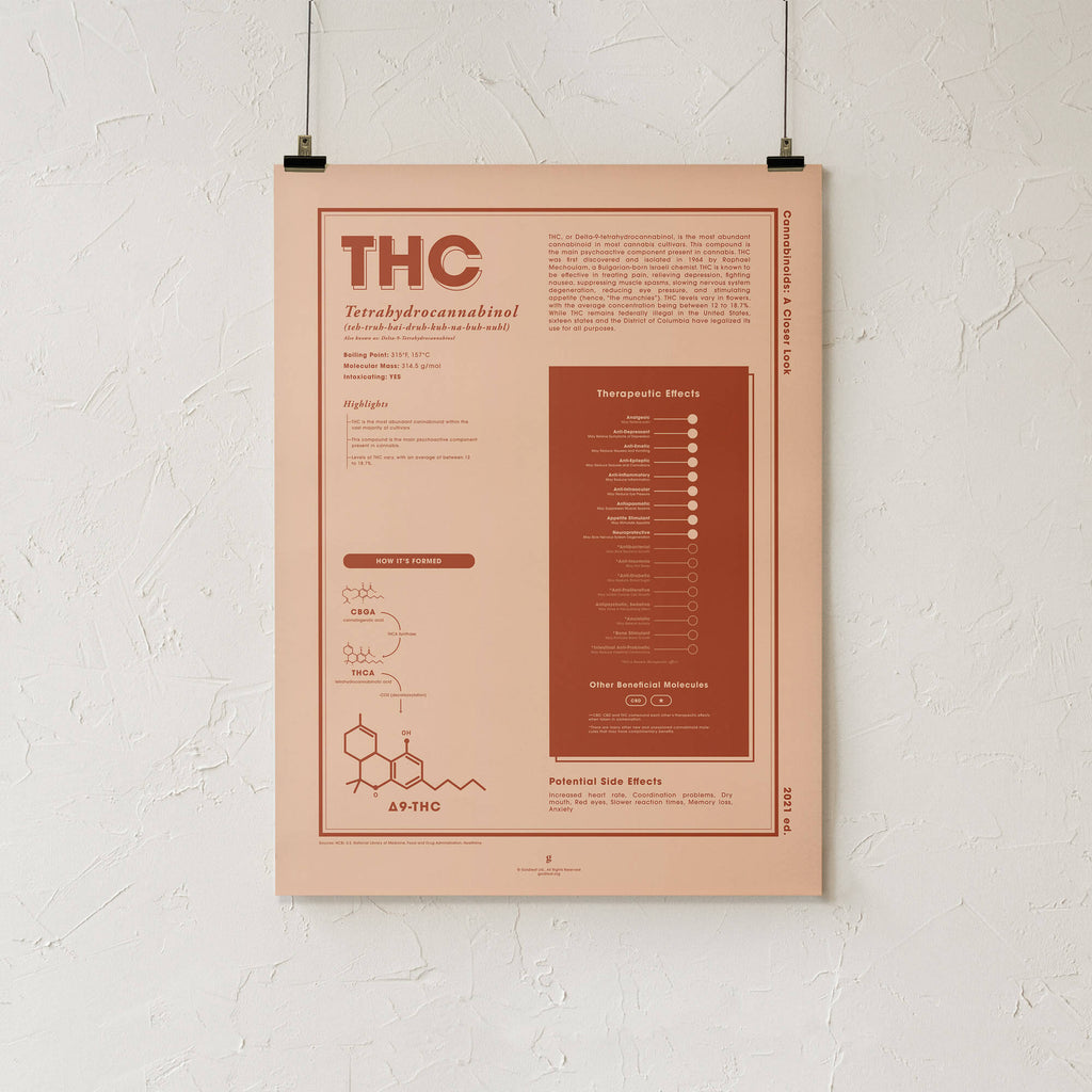 THC: Tetrahydrocannabinol A Closer Look Print | Goldleaf