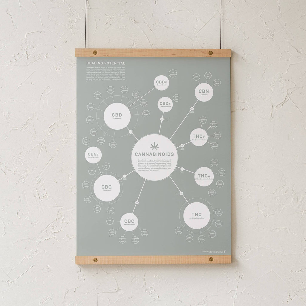 Chart of Cannabinoids Print: Therapeutic Values Illustrated | Goldleaf