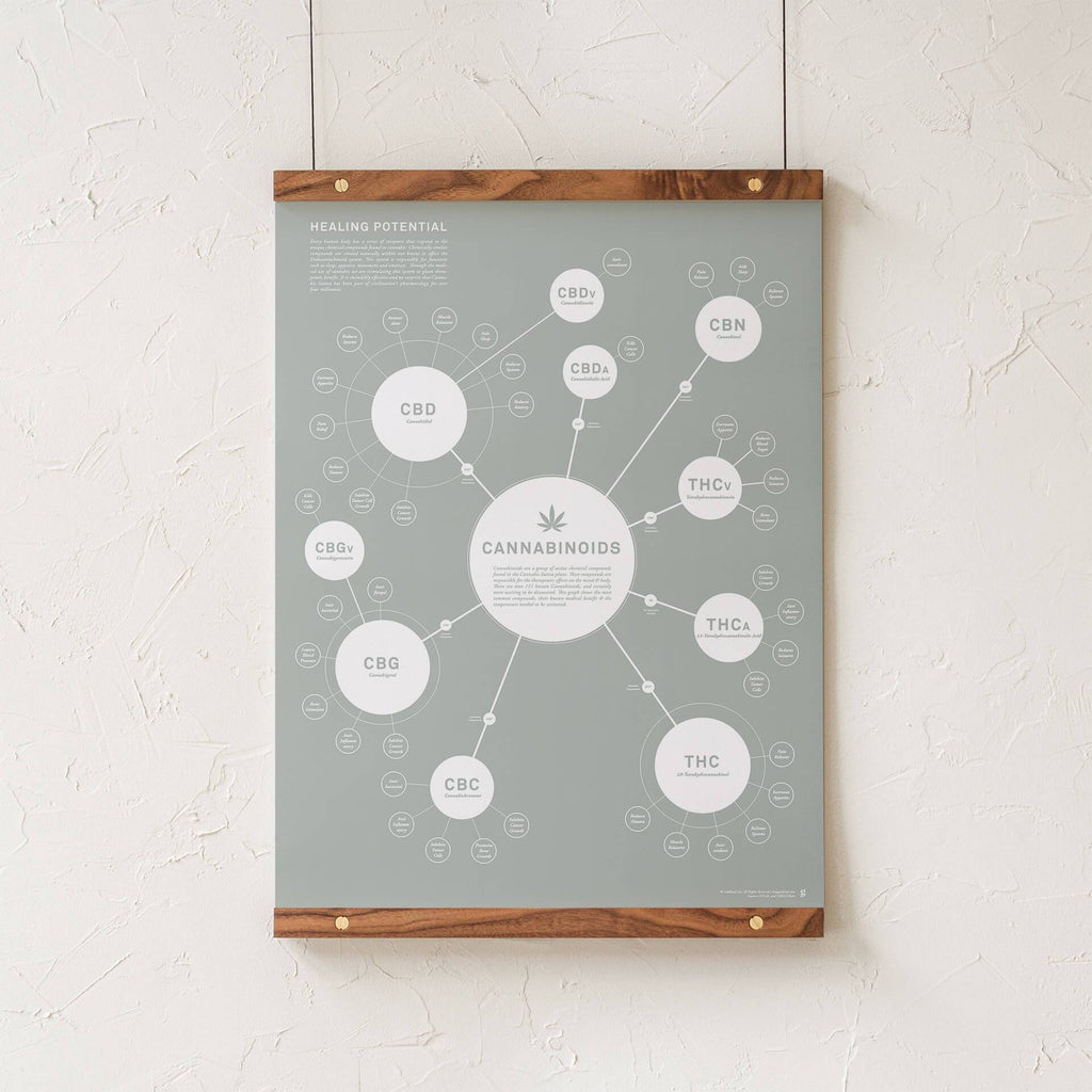 Chart of Cannabinoids Print: Therapeutic Values Illustrated | Goldleaf