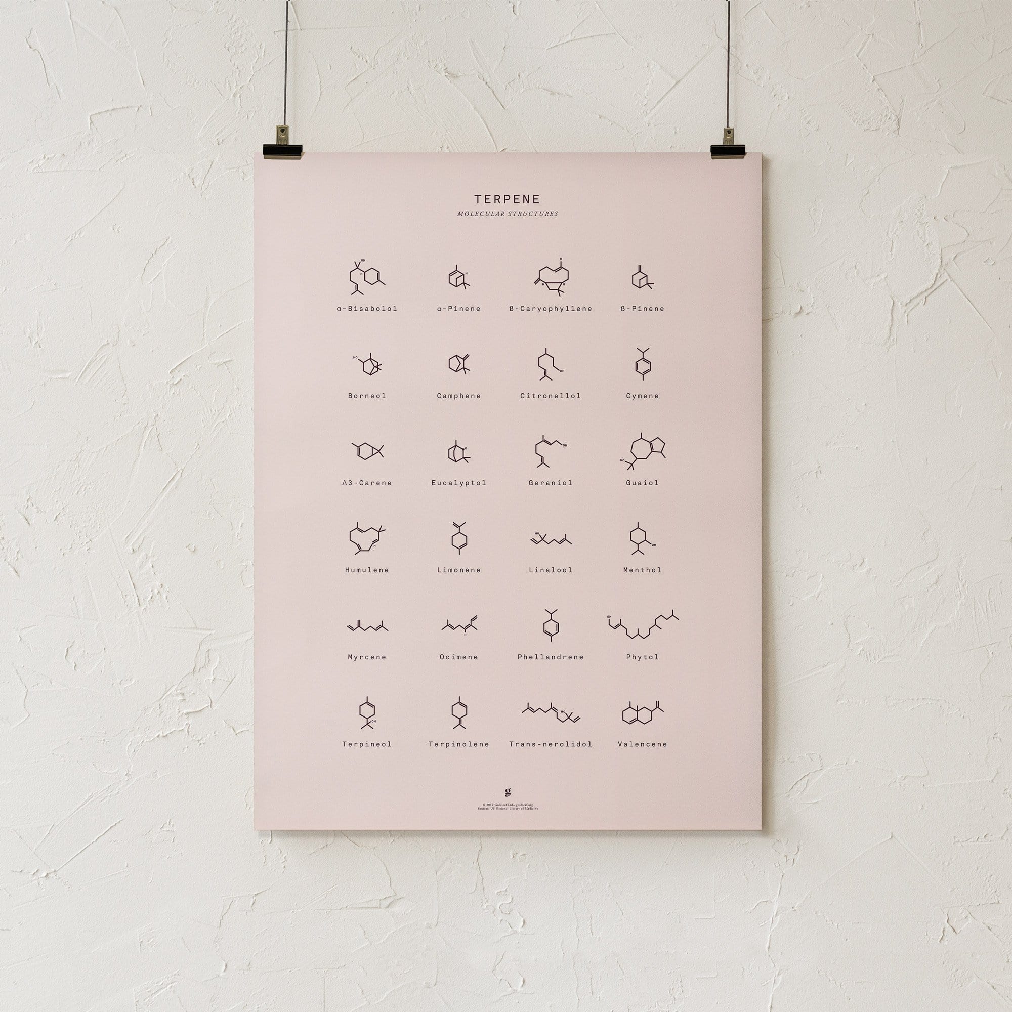 Terpene Posters & Charts: Cannabis Information | Goldleaf